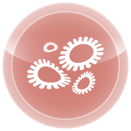Clinical Indicator Program